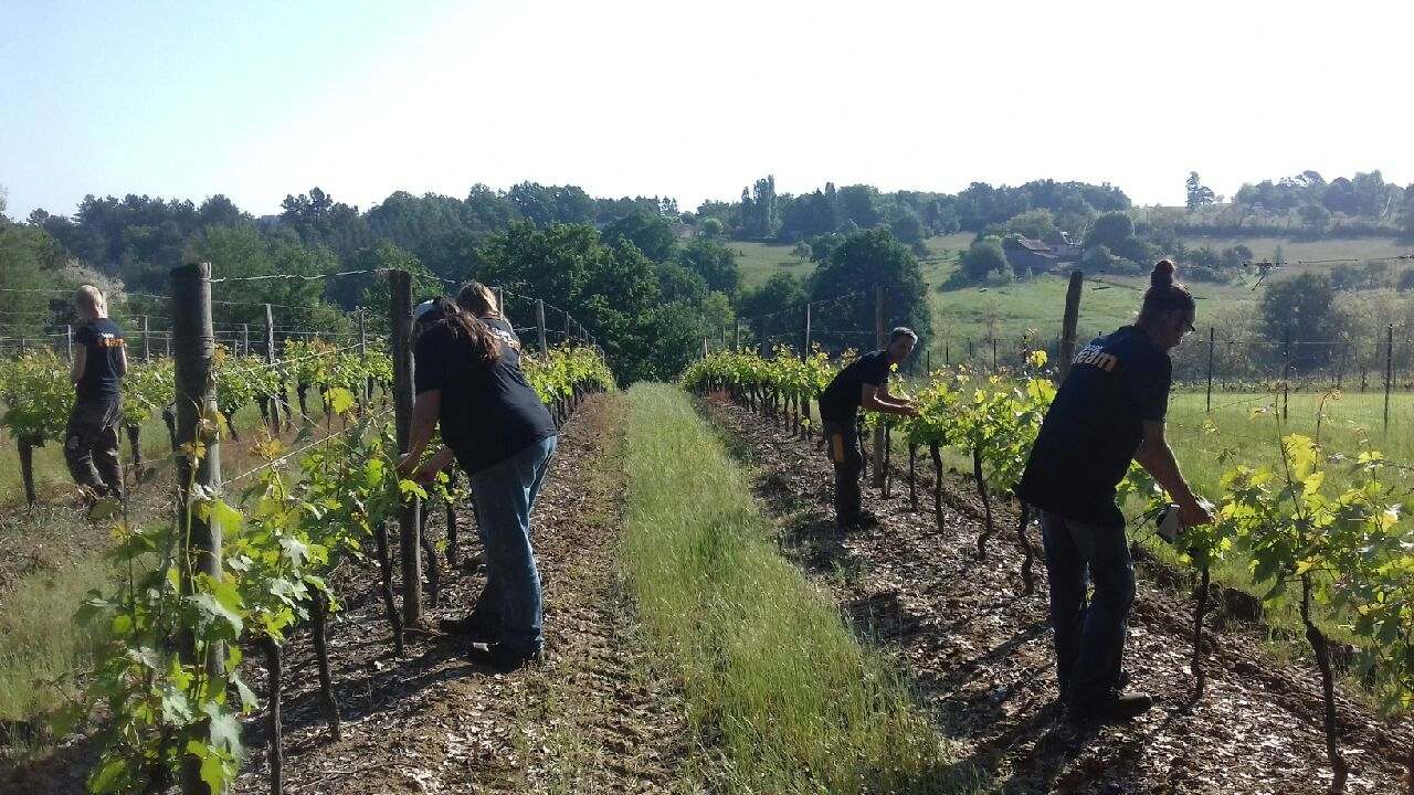 BASE - BERGERAC ACTIONS SOLIDARITÉ EMPLOI | Fondation Crédit Coopératif
