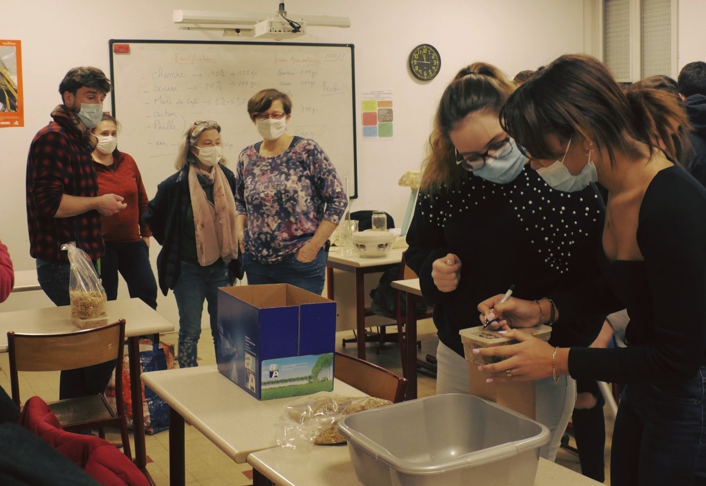 Mycotopia | Fondation Crédit Coopératif