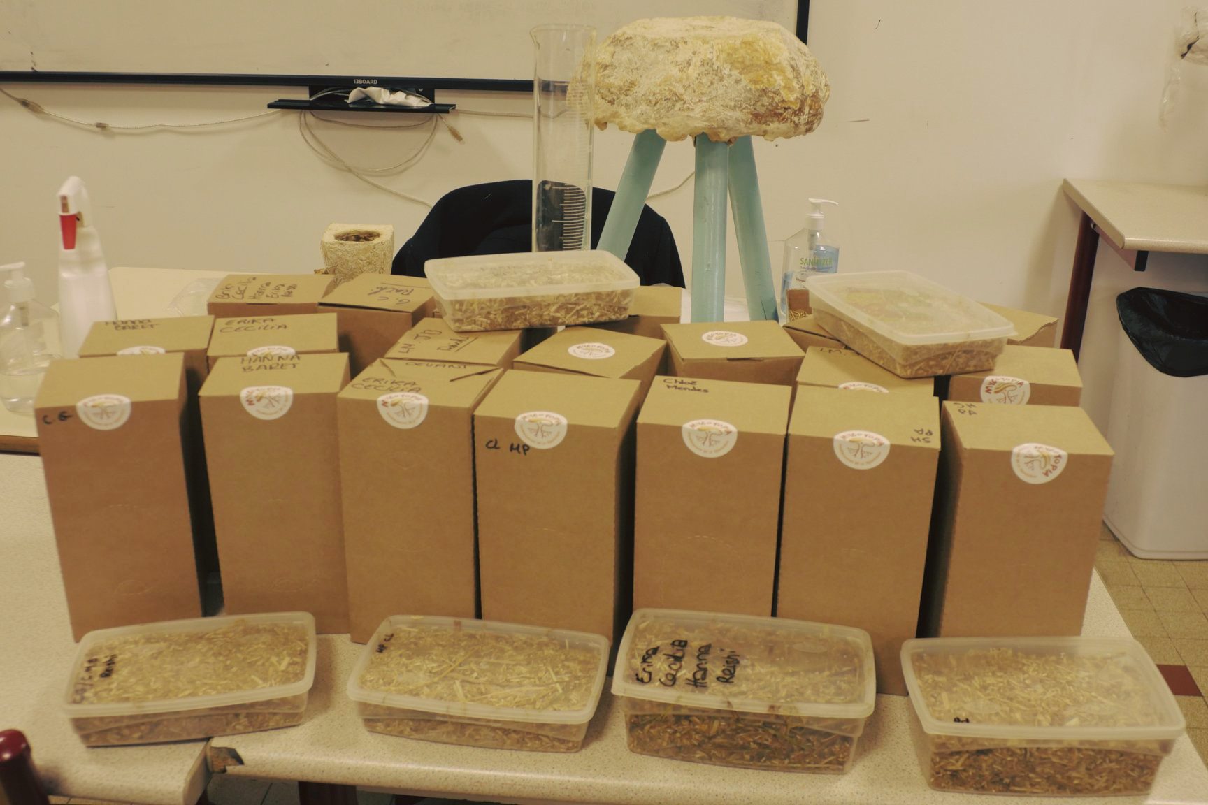 Mycotopia | Fondation Crédit Coopératif